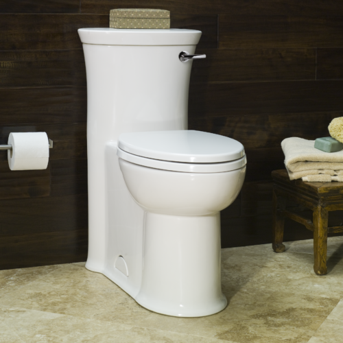 Evolution of Toilets & Washlets: Your Guide to Choices - Immerse St. Louis