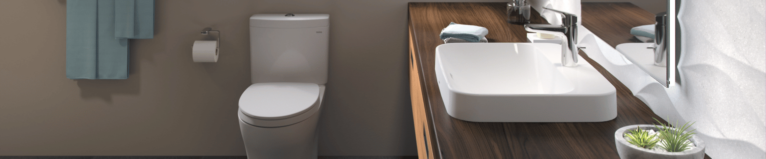 Evolution of Toilets & Washlets: Your Guide to Choices - Immerse St. Louis